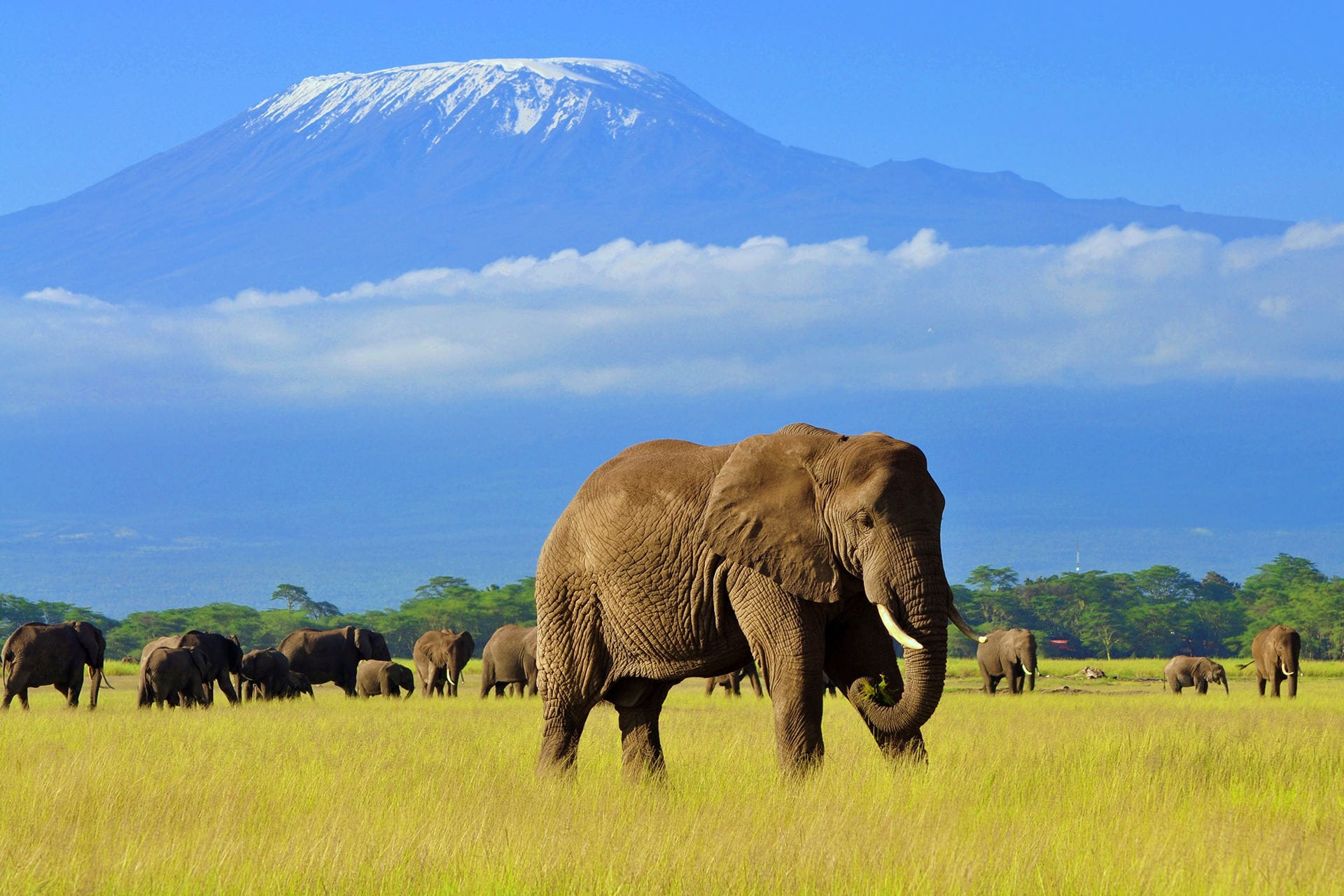 13 Days Big African Wildlife Safari Adventure