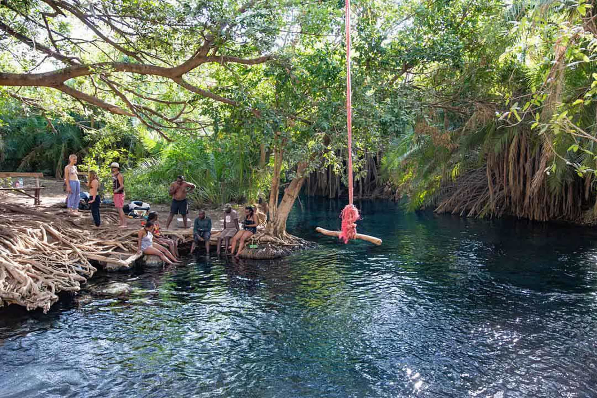 1 Day Kikuletwa Hotspring