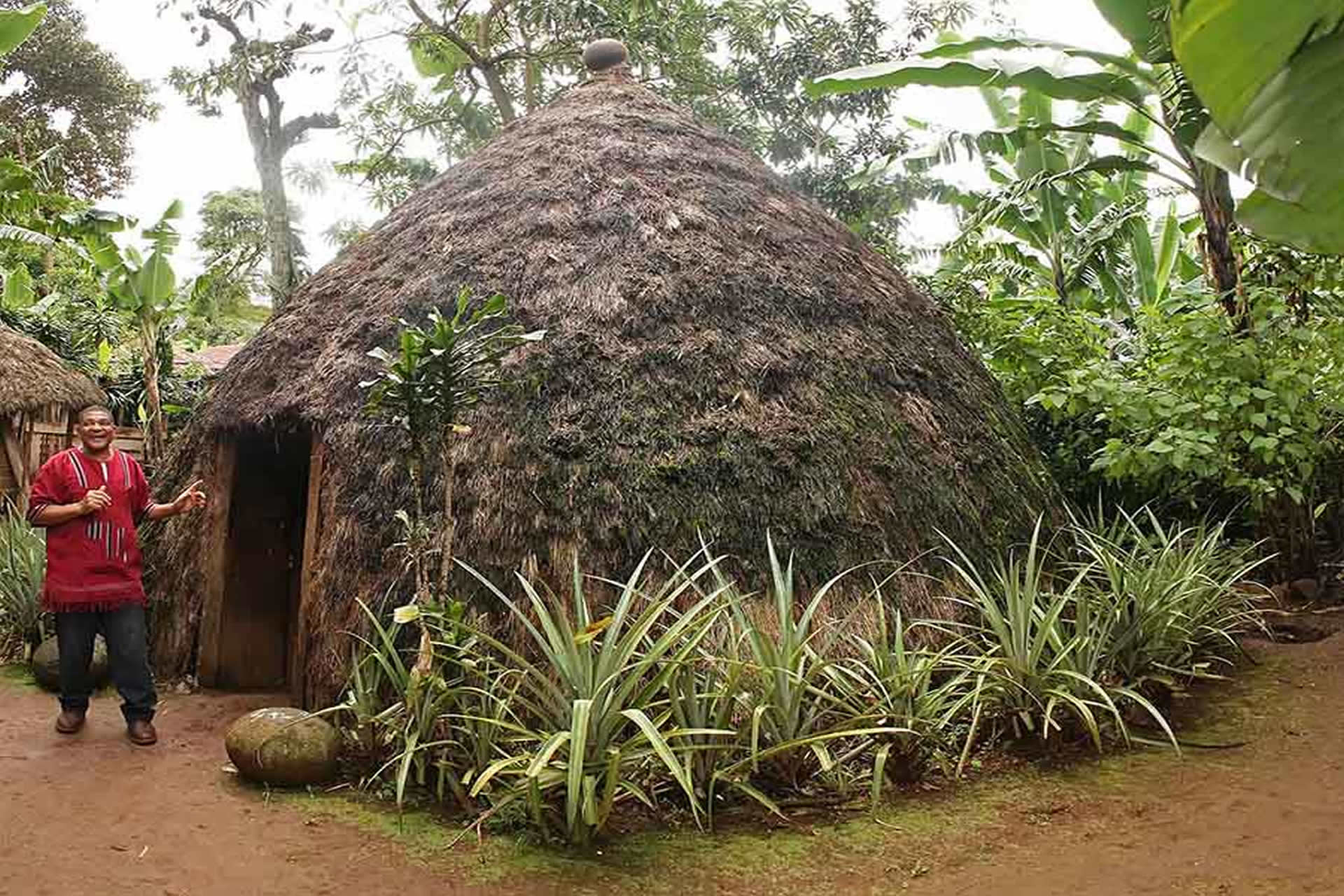 1 Day Materuni Waterfalls & coffee tour